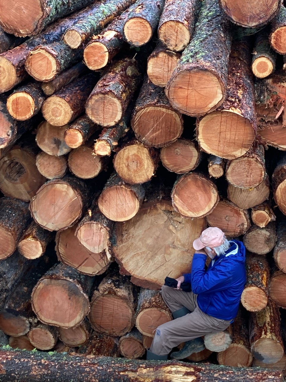mill creek log deck | Friends of the Bitterroot